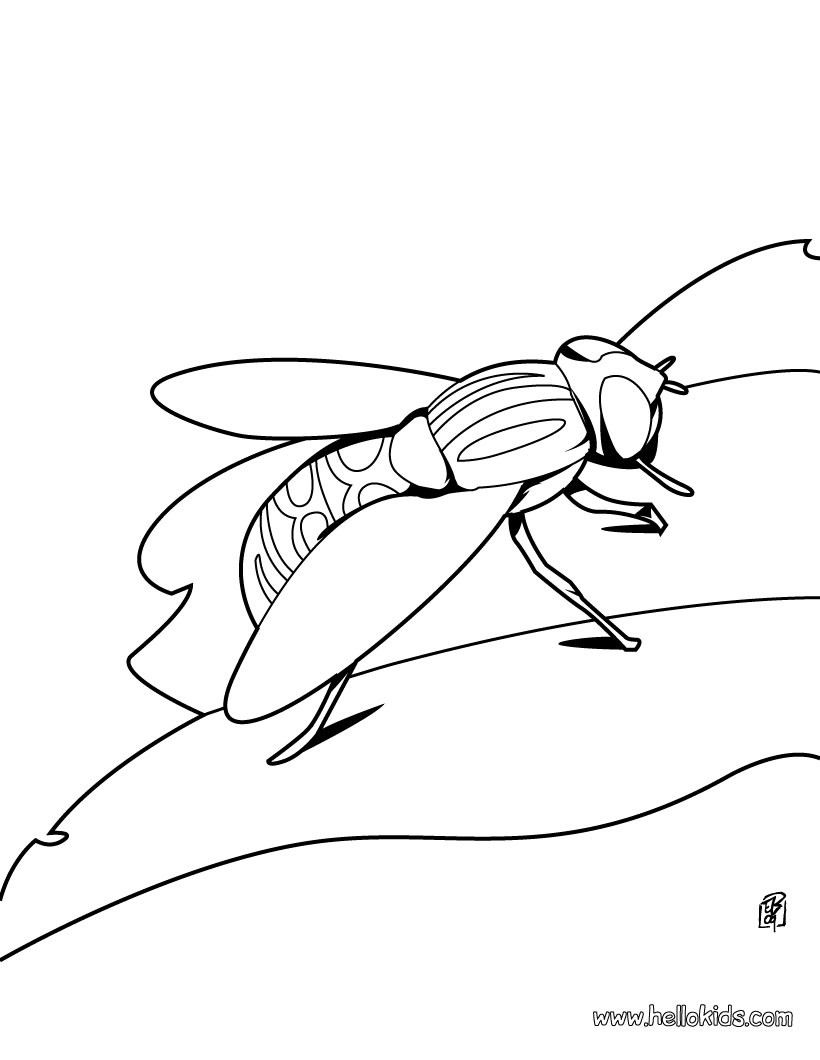 Desenhos para colorir de desenho de uma mosca para colorir -pt ...