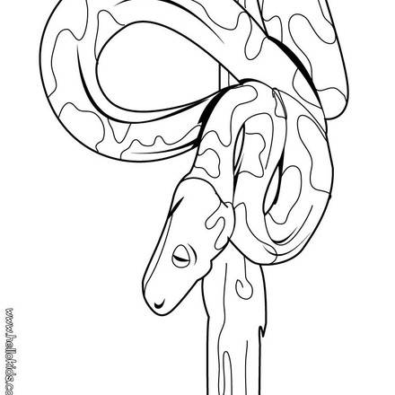 Jibóia : Desenhos para colorir, Vídeos para crianças, Leia, Artes ...